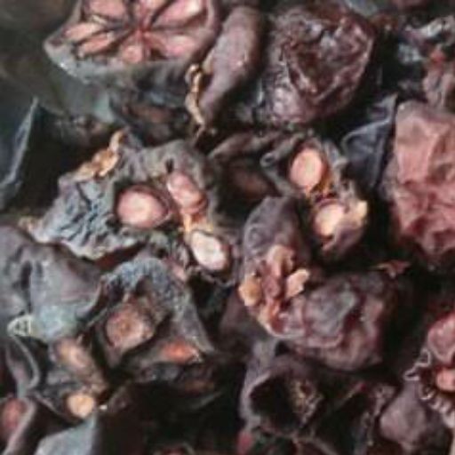 Dry Kokam/lonavala kokam – Chandan and Brothers