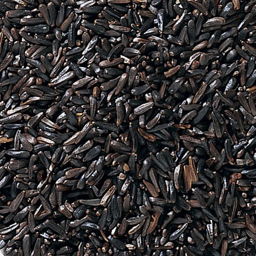 Karla Seeds 100g – Chandan and Brothers