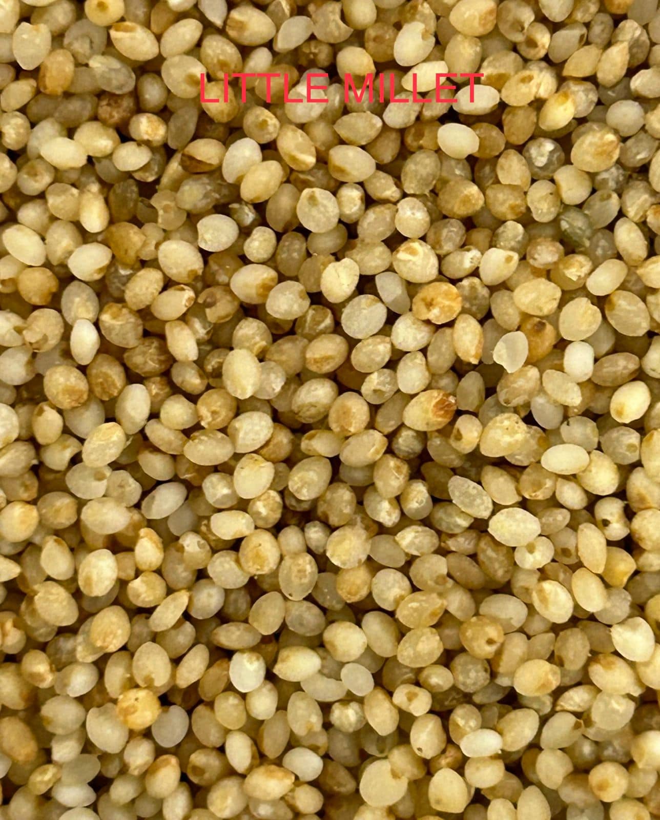 Little Millet – Chandan and Brothers