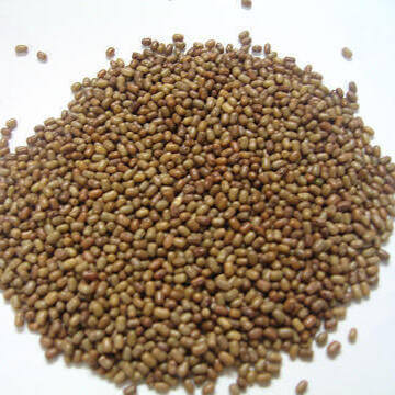 Salem Matki – Chandan and Brothers